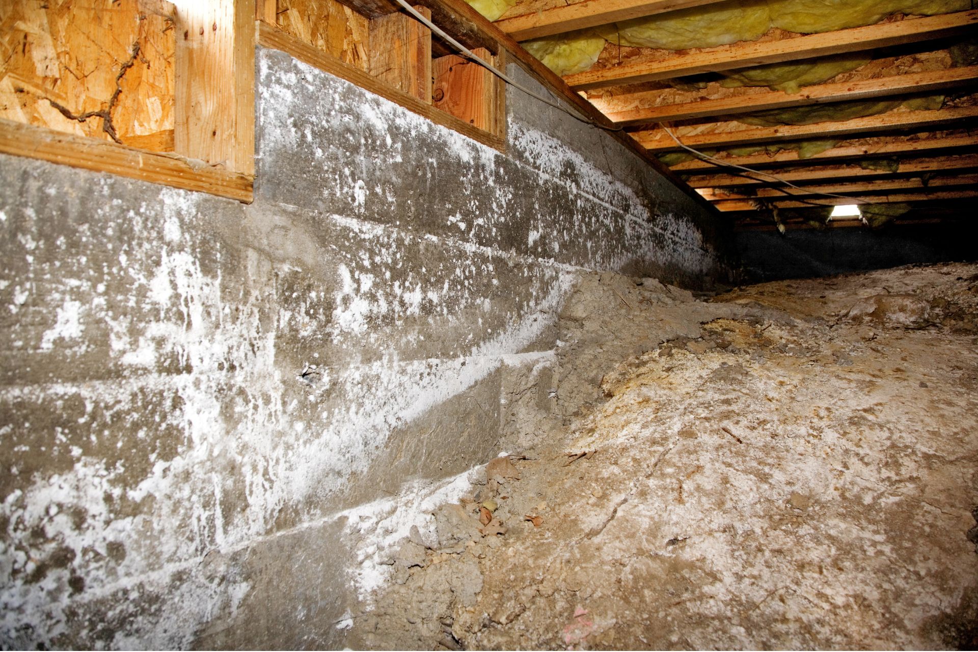 Ultimate Guide To Crawl Space Foundation Repair Cost In NZ - Civil ...